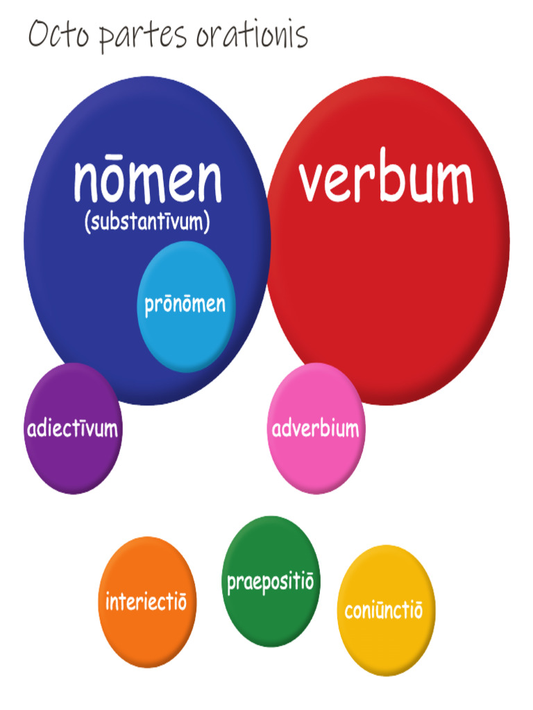 Octo Partes Orationis MCT Latin | PDF