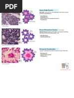 Rosettes and Pseudorosettes in Pathology | PDF | Biology | Cancer
