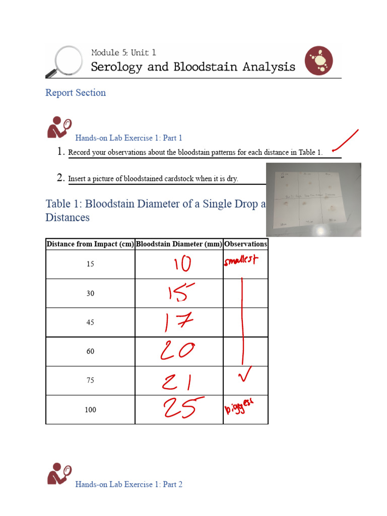 Serology+and+Blood+Spatter+Laboratory+Worksheet | PDF | Length
