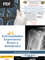 Radiografia-del-Hombro-Proyecciones-AP-Axilar-y-en-Y 2 Diapossss | PDF ...