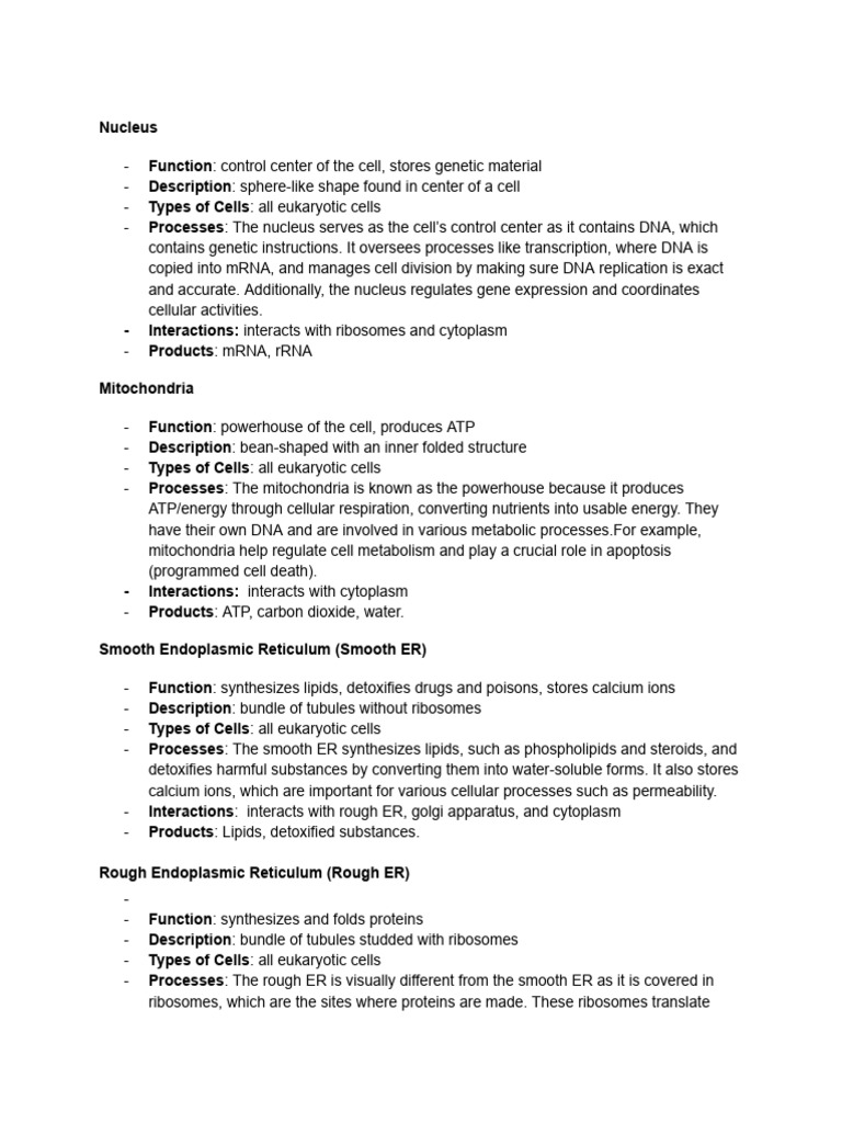 rr | PDF | Endoplasmic Reticulum | Cell (Biology)