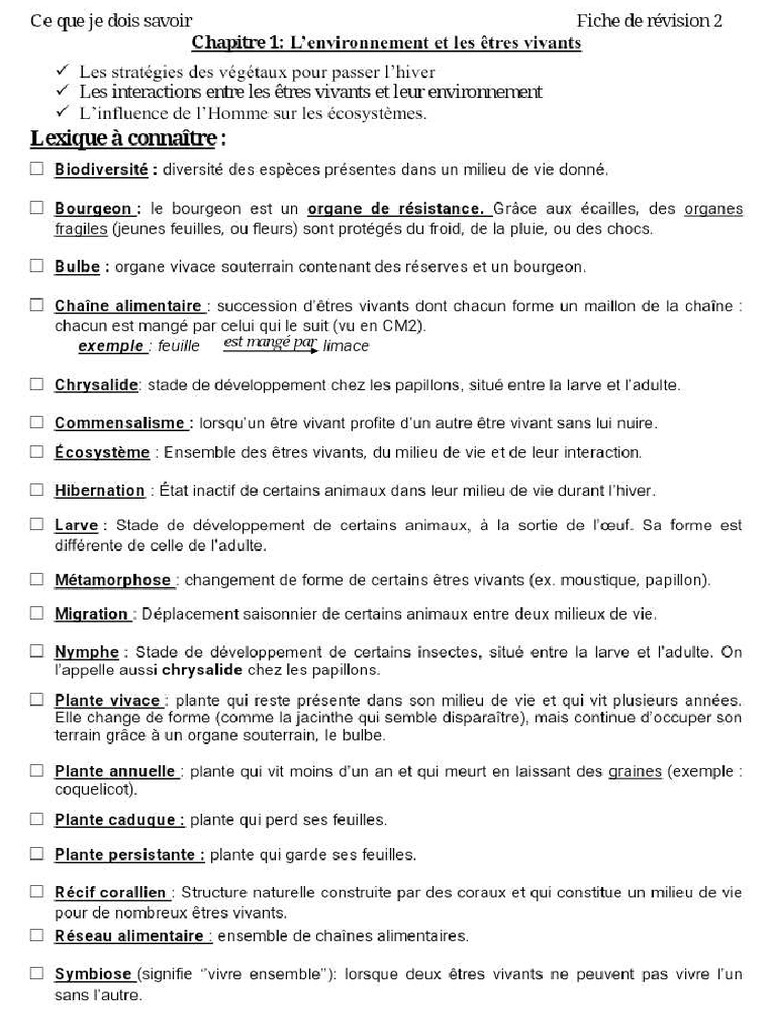 20241117_145112 | PDF