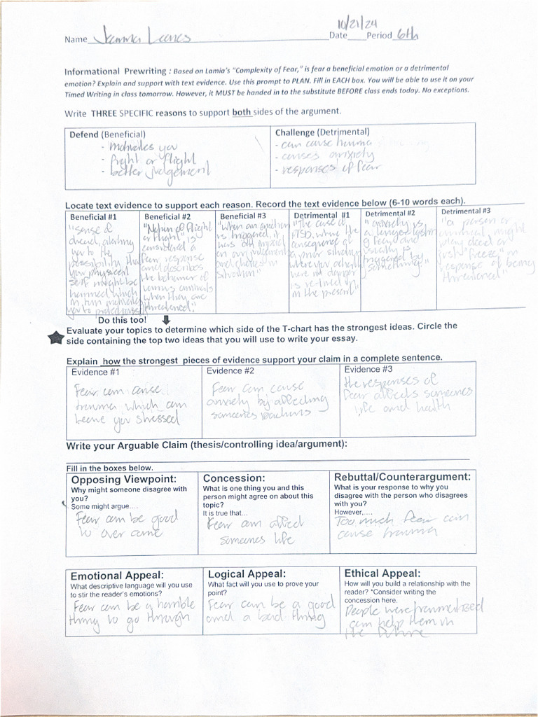 Informational Prewriting | PDF