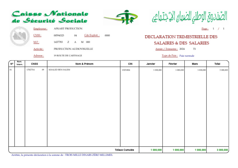 Déclaration Trimestrielle des Salaires 2024 | PDF