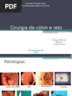 Cirurgia de Hartmann: Procedimentos e Cuidados | PDF ...