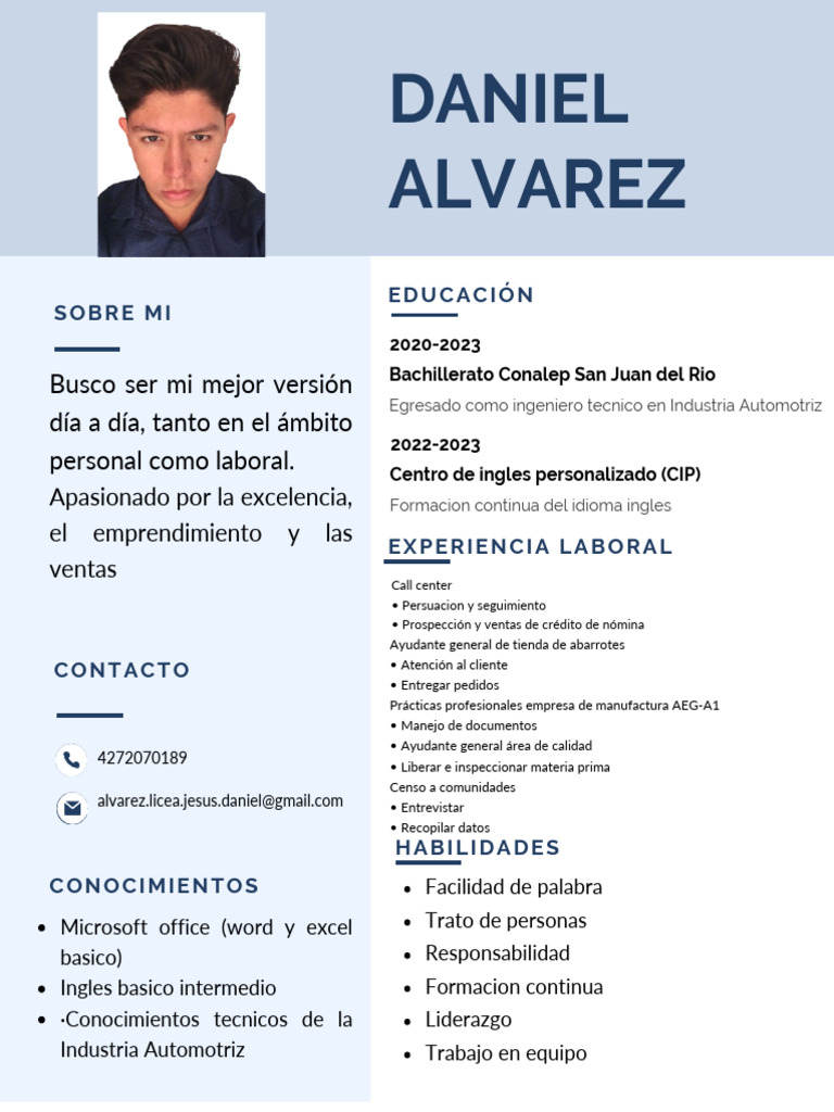 Curriculum Daniel Alvarez Licea | PDF