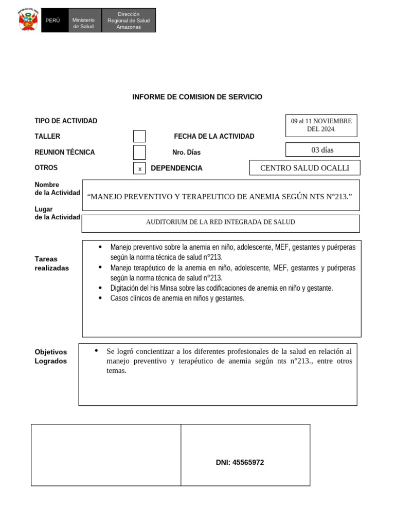 INFORME DE RENDICION Nuevo Modelo | PDF