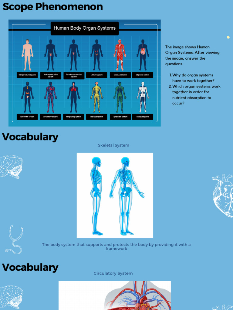 Body system notes | PDF | Human Body | Lymphatic System