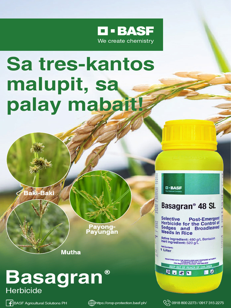 A4_Basagran_Brochure | PDF