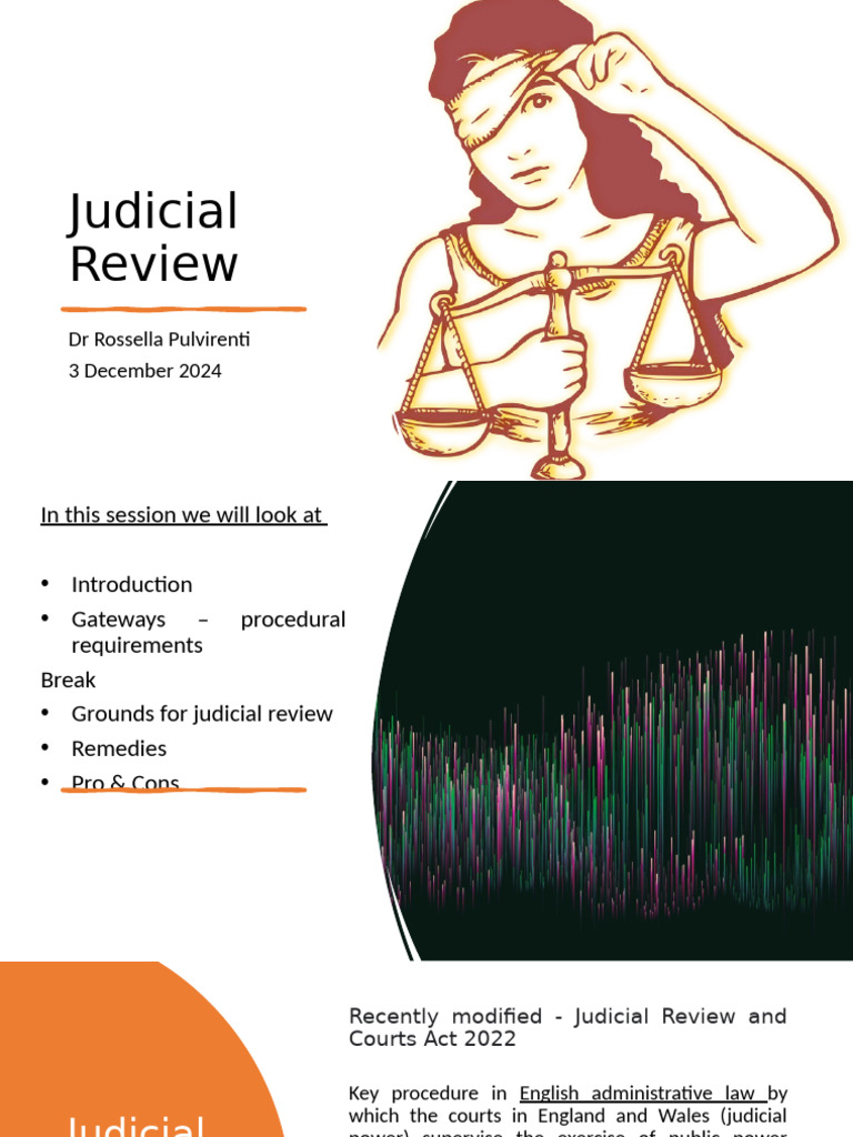 Grounds for Judicial Review Explained | PDF | Governance | Judiciaries