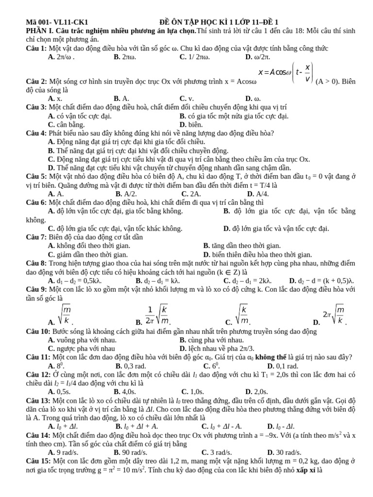 Mã 001-De CK1-VL11 | PDF