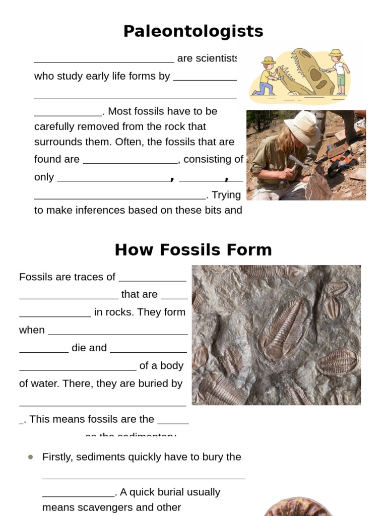 Planet Earth - Section 4 - Handout | PDF | Fossil | Geology