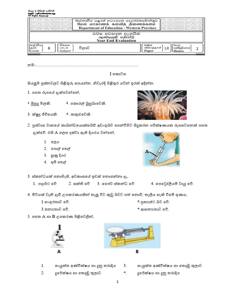 2021 3rd Science g6 Sm | PDF