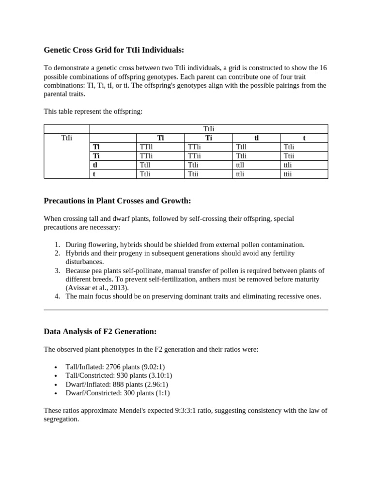 Genetic Cross Grid for TtIi Individuals | PDF