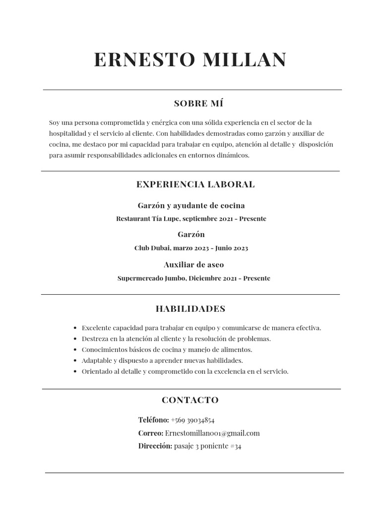 Curriculum Ernesto Millan | PDF