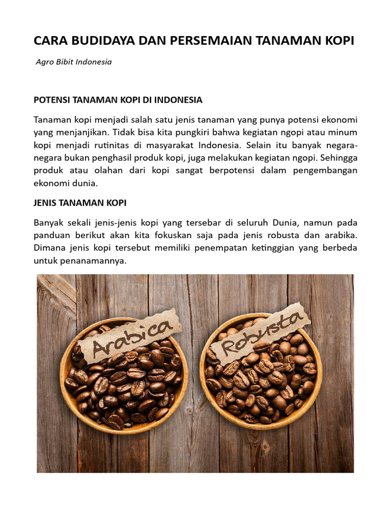 Cara Semai Biji Kopi Arabika Dan Robusta | PDF