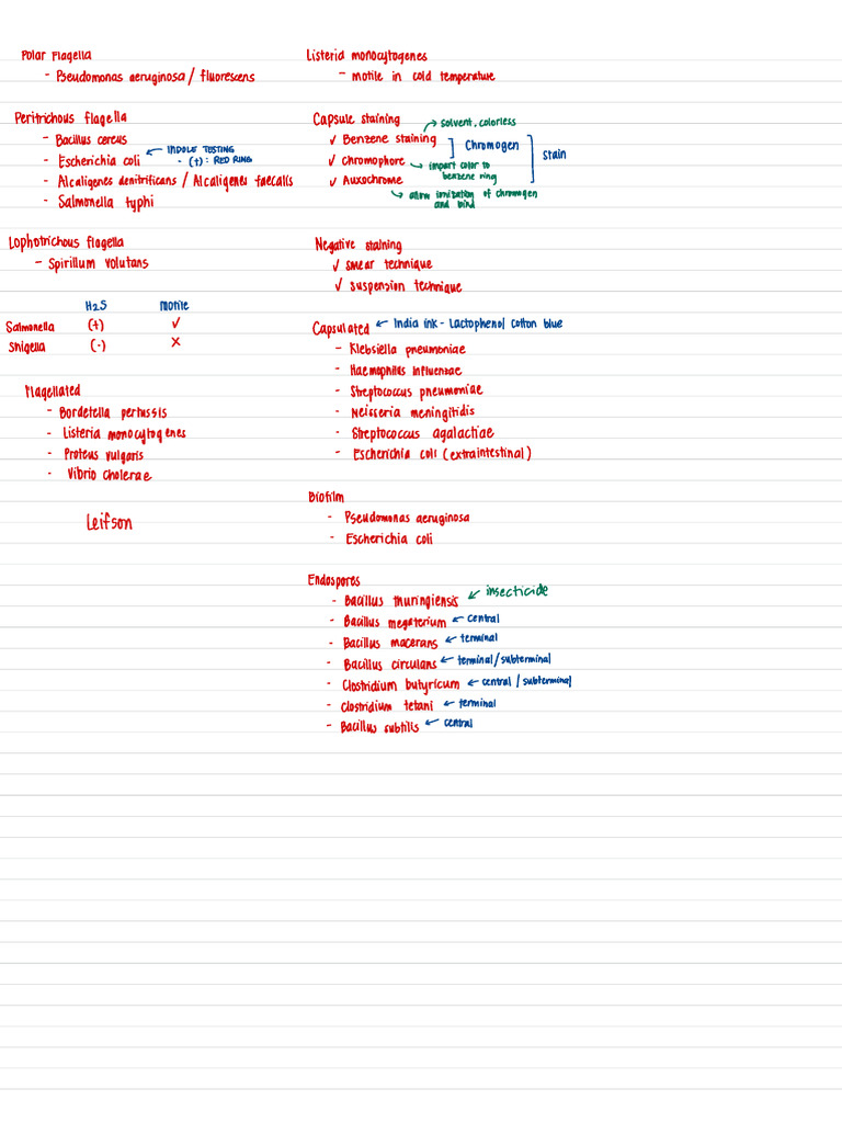 Bacte 2nd Shifting | PDF | Bacillus | Microorganism