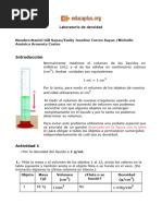 Laboratorio de Densidad y Flotabilidad | PDF | Volumen | Densidad