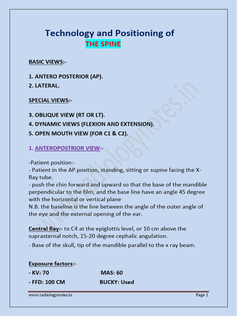 Positioning of The Spine & Dorsal Spine | PDF | Vertebral Column ...