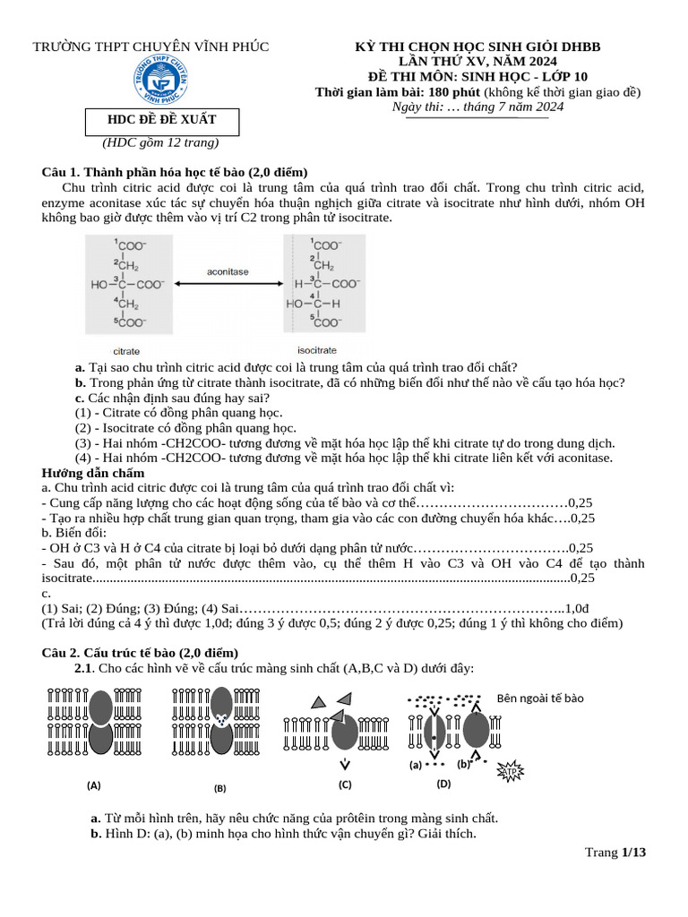 Sinh_10_HDC_Chuyên Vĩnh Phúc_Vĩnh Phúc | PDF
