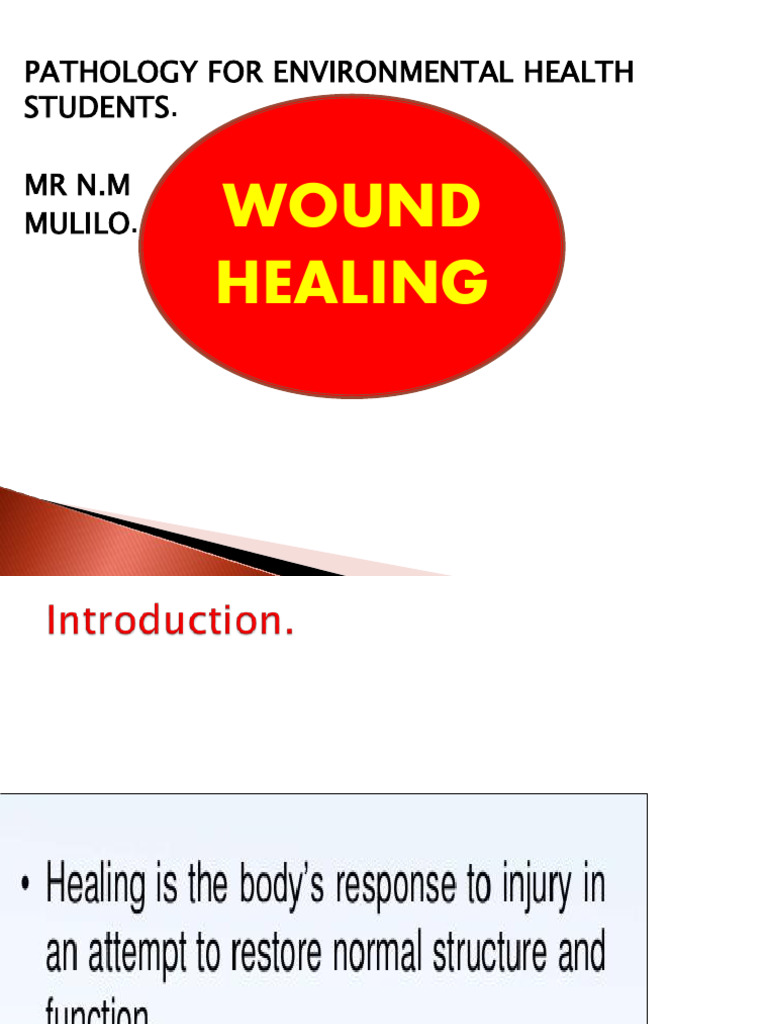 Wound Healing - Pathology Notes | PDF | Wound Healing | Healing