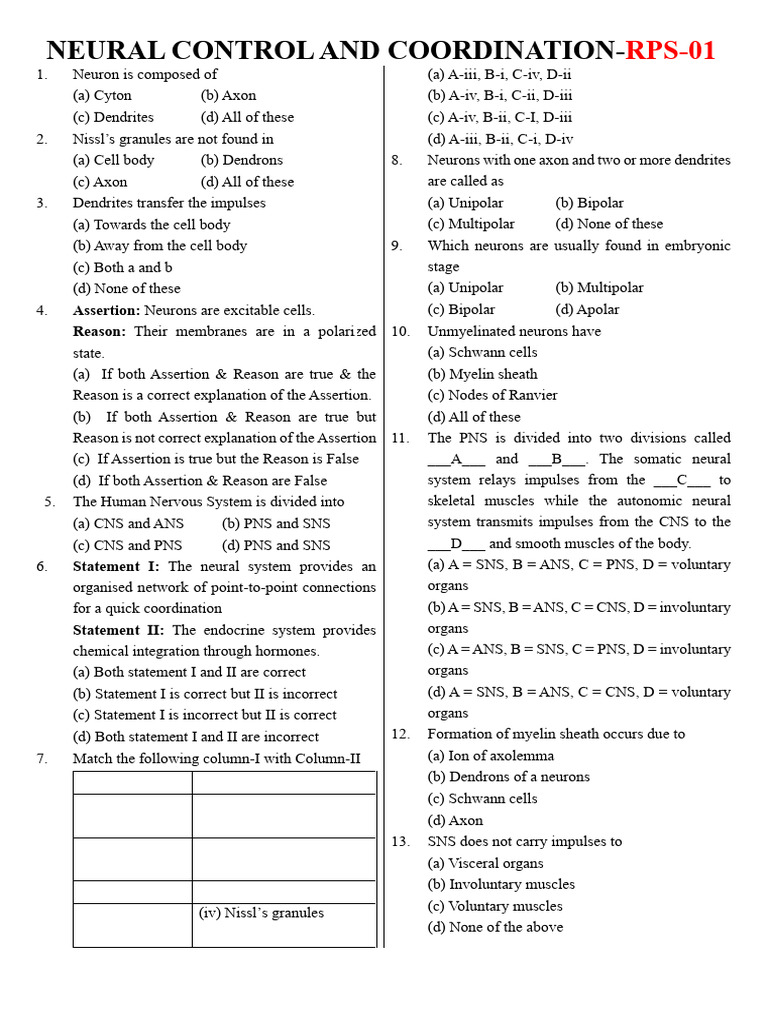 Neural Control and Coordination NEET-RPS-01 | PDF | Neuron | Axon