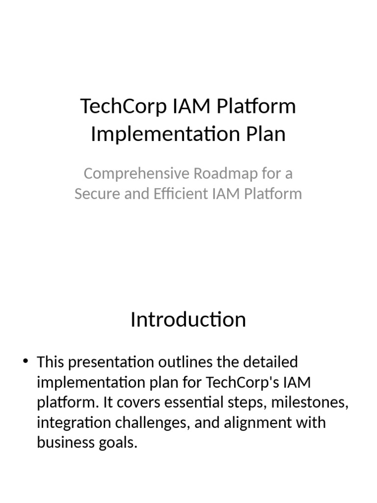 TechCorp IAM Implementation Plan | PDF