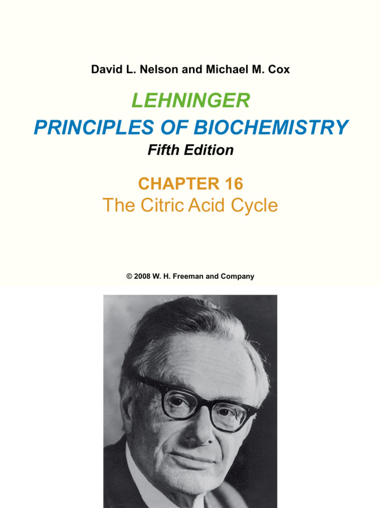 POB_5e_ch16-17-18-27-2024 | PDF