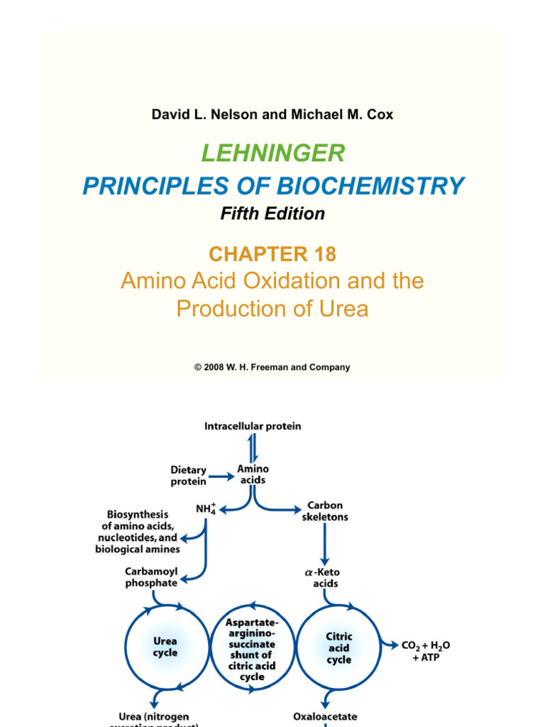POB 5e ch18-19-2024 | PDF