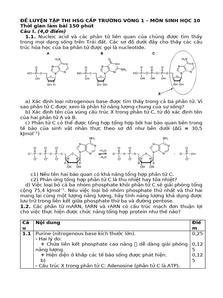 13 ĐA ĐỀ LUYỆN TẬP THI HSG CẤP TRƯỜNG V1 2425 | PDF