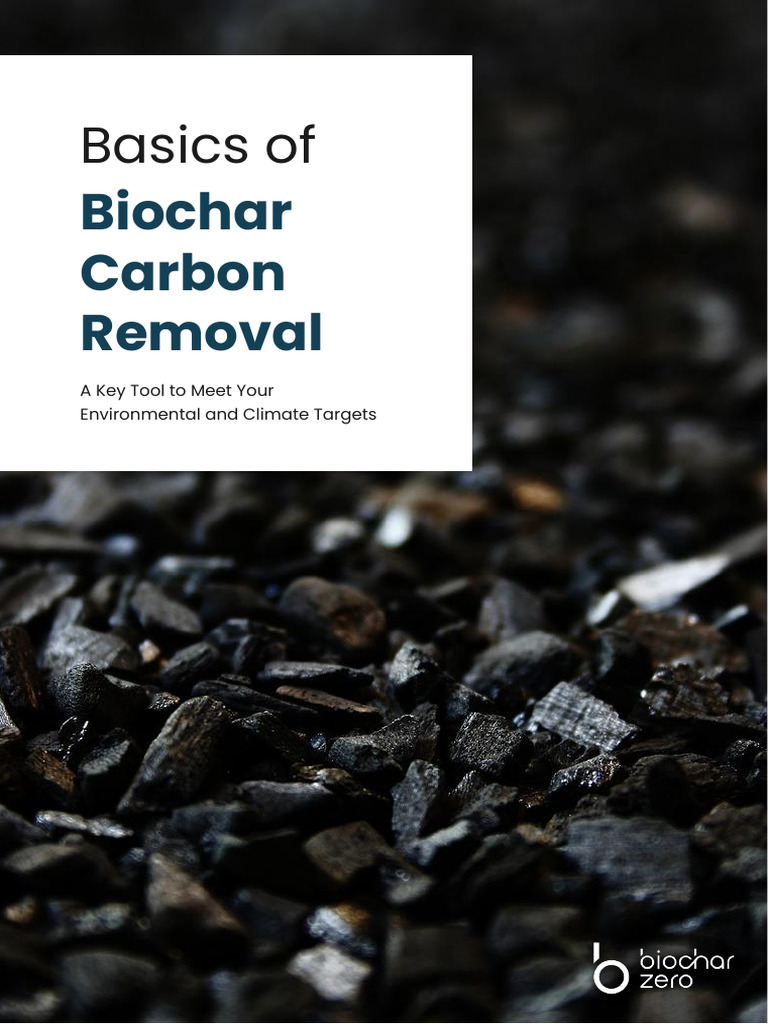 Biochar Carbon Removal Basics Guide | PDF | Climate Change Mitigation ...