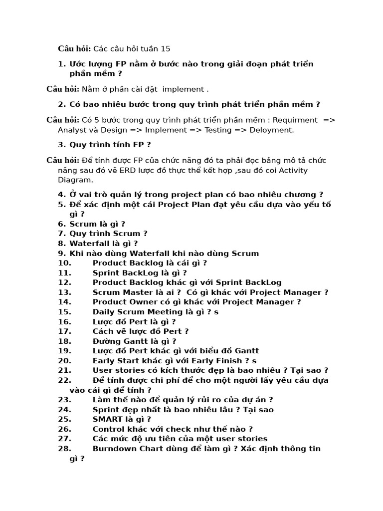 Ôn tập QLDA | PDF