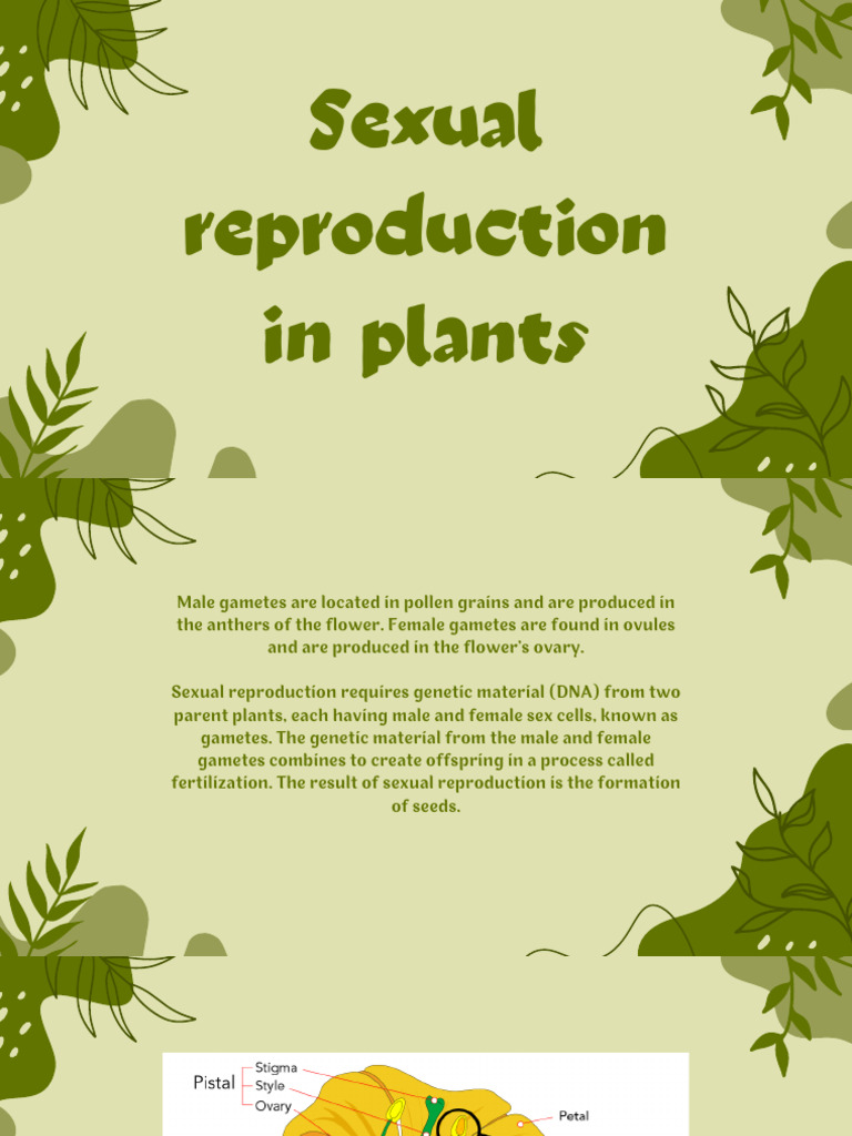 Sexual Reproduction in Plants PDF | PDF