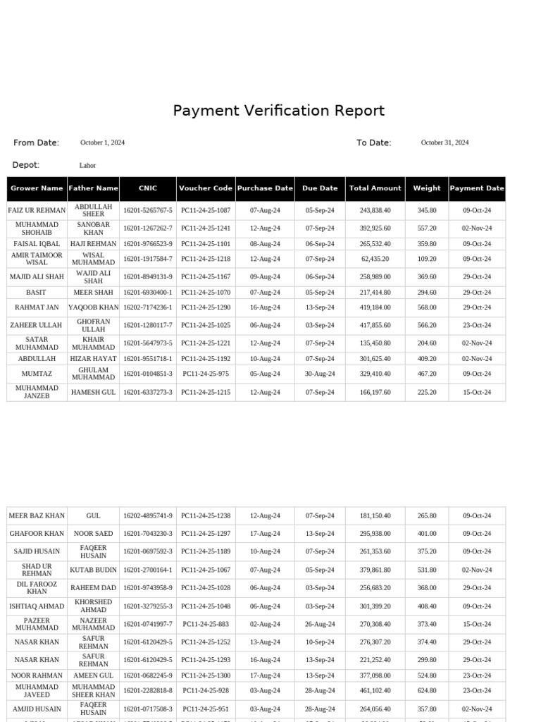 Payment Verification Report | PDF