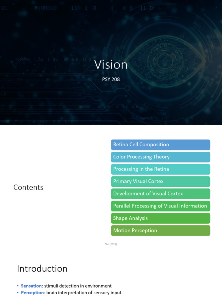 5. Vision - Copy | PDF | Visual Cortex | Retina