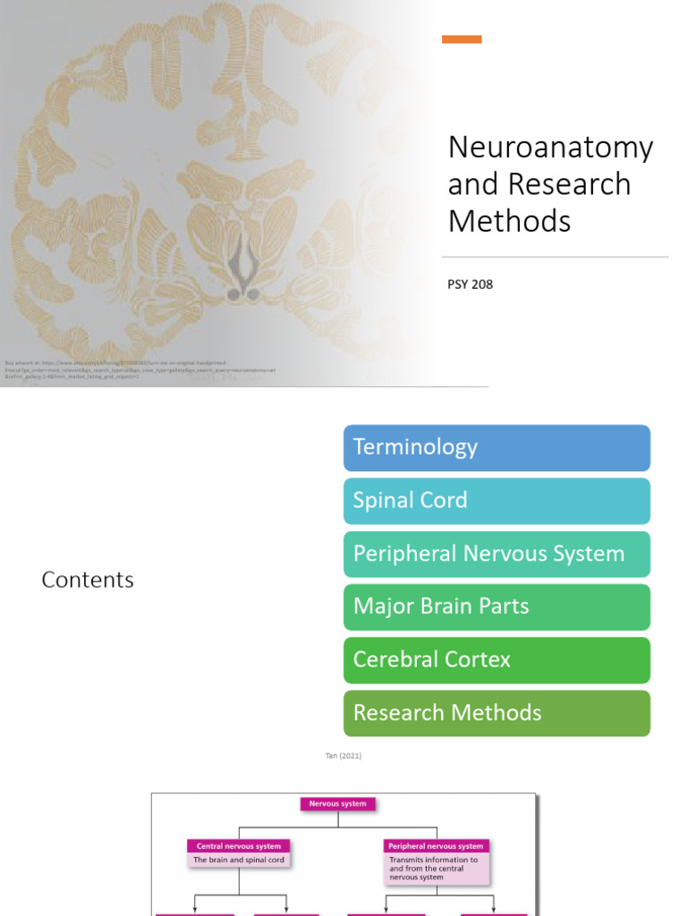 Neuroanatomy and Research Methods | PDF | Anatomical Terms Of Location ...