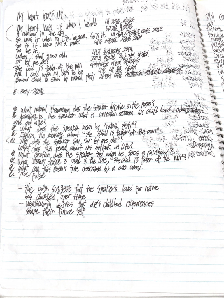 My Heart Leaps Up | PDF