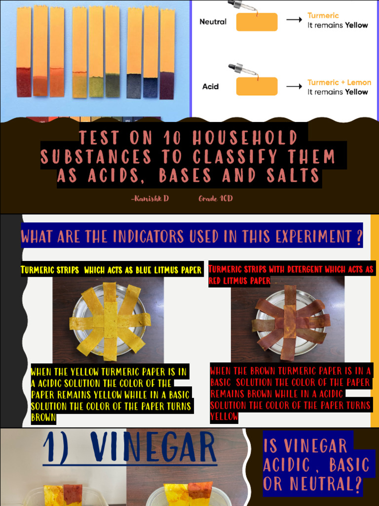 Chemistry Project (Classification and Analysis On 10 Household ...