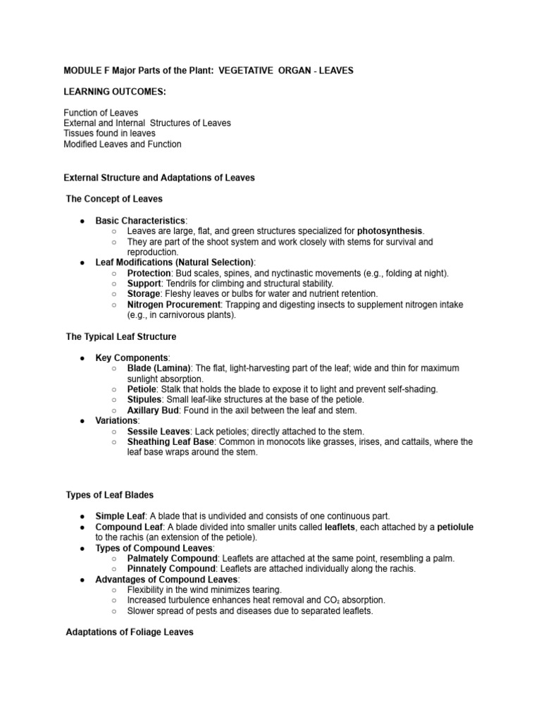TRANSES - Detailed MODULE F Major Parts of The Plant - LEAVES | PDF ...