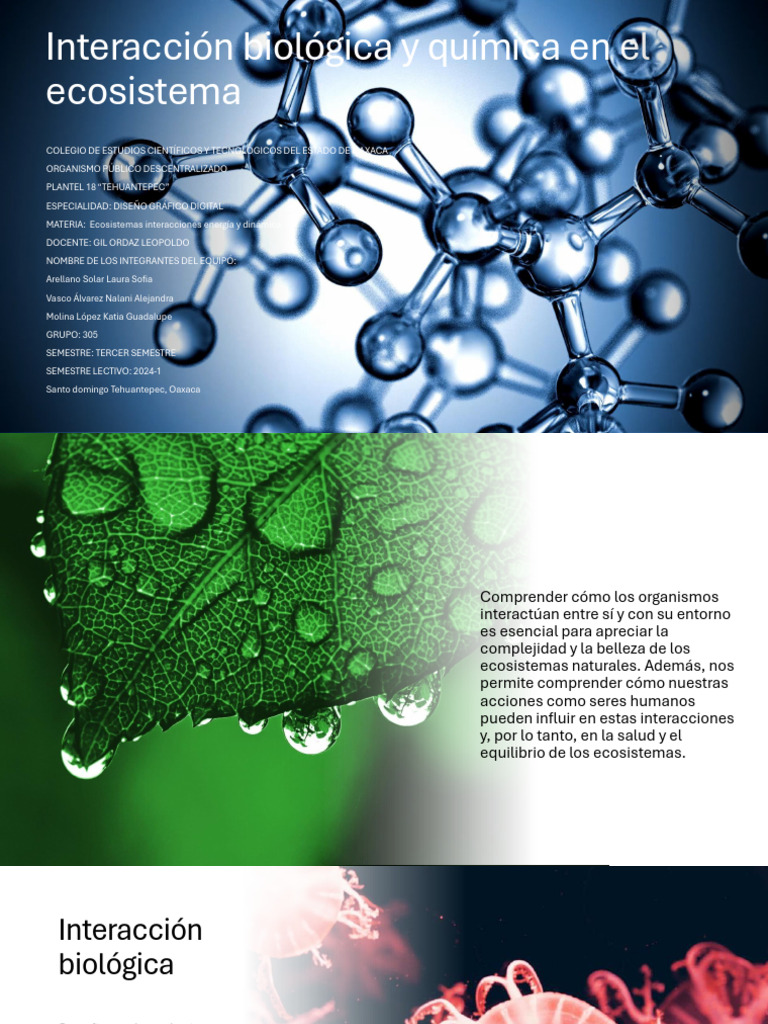 Interacciones en Ecosistemas | PDF | Suelo | Agua