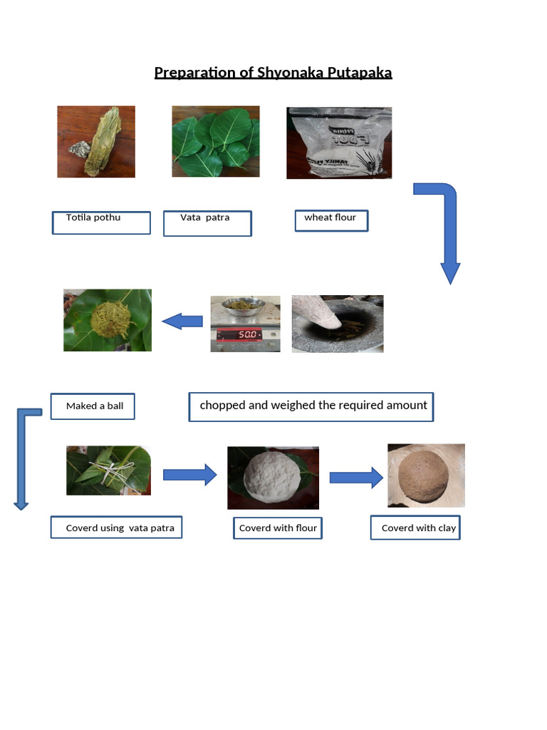 6.preparations of Shyonaka Putapaka - 1 | PDF