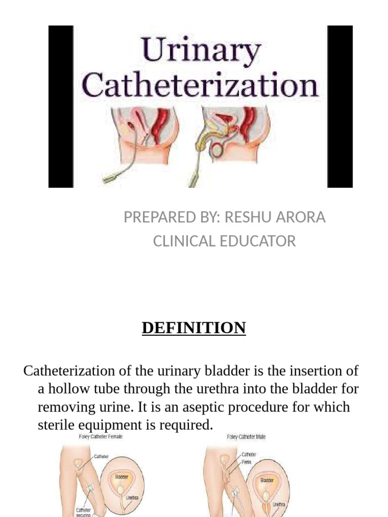 Urinary Cathterization | PDF | Urology