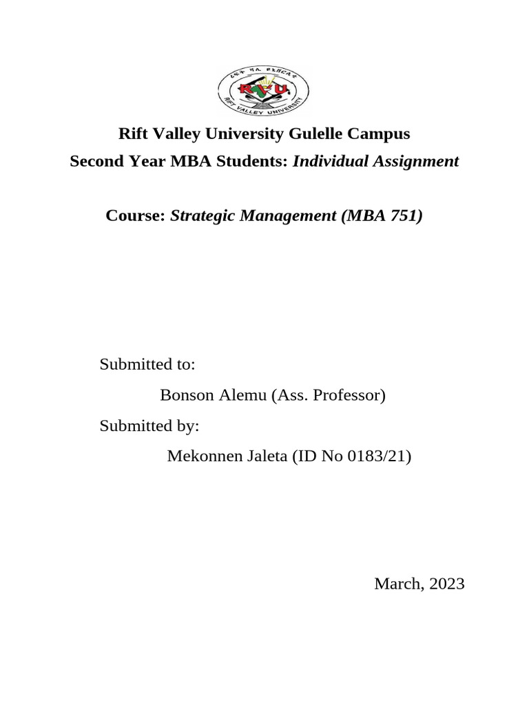 Individual Assignment - Mekonnen - March 2023 | PDF | Strategic Management | Strategic Planning