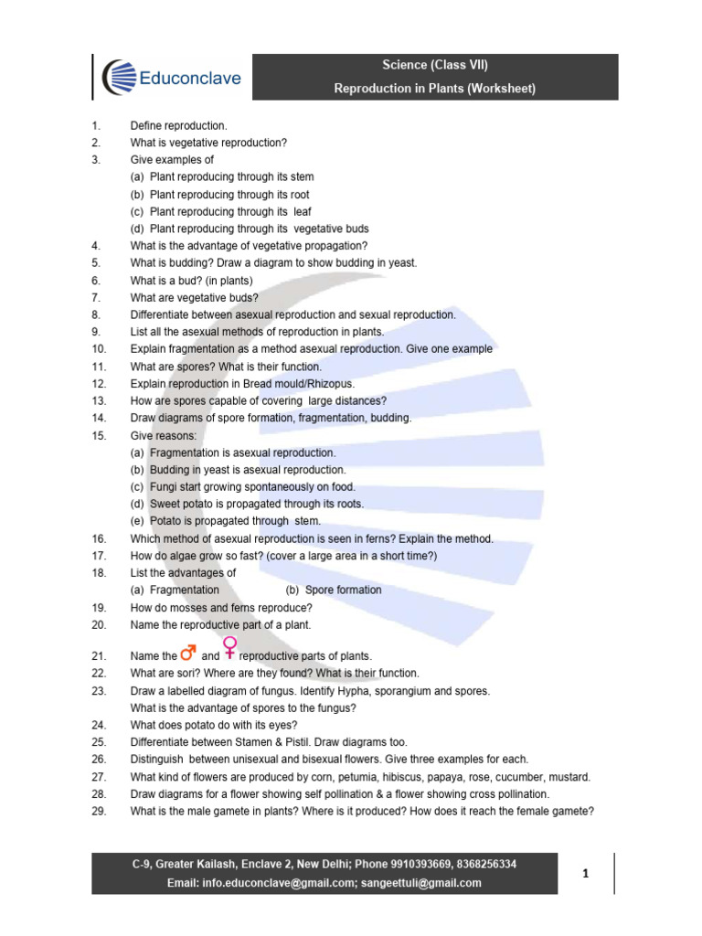 Class 7 Plant Reproduction Worksheet | PDF | Flowers | Reproduction