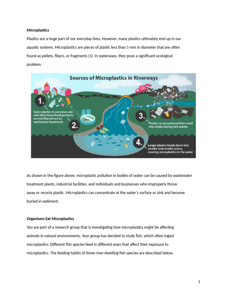 Microplastics+graphing+pre-lab+assignment-1 (1) | PDF