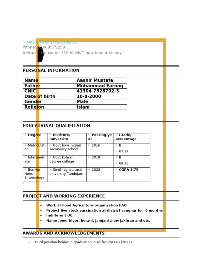 Aashir Cv Update Copy | PDF