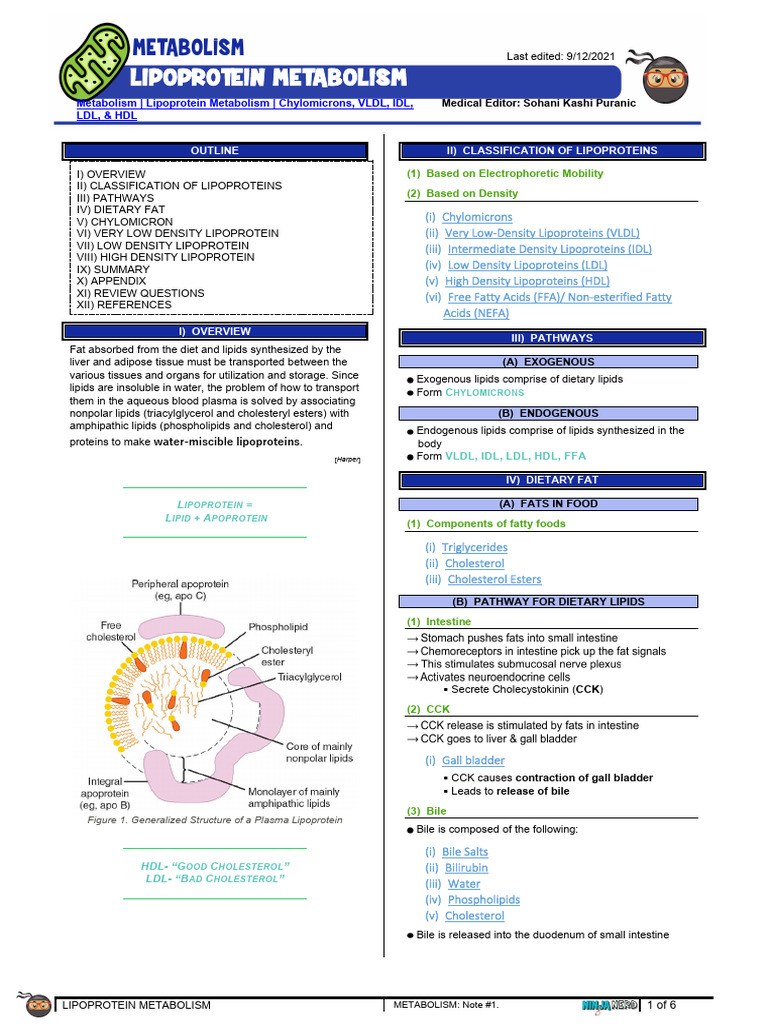 185 - Metabolism Physiology] Lipoprotein Metabolism _ Chylomicrons ...