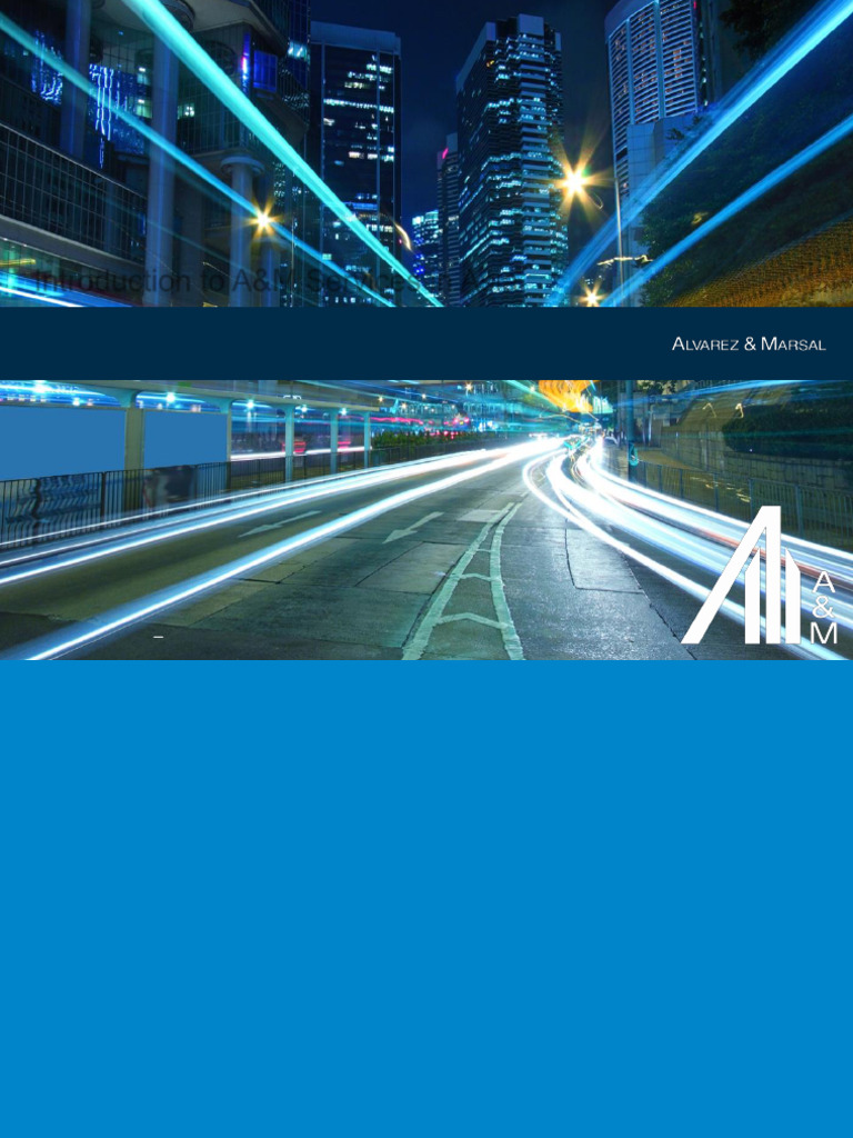 Am Asia Introduction | PDF | Mergers And Acquisitions | Taxes