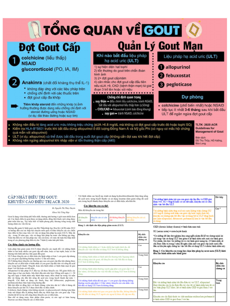 Acr 2020 Gout | PDF