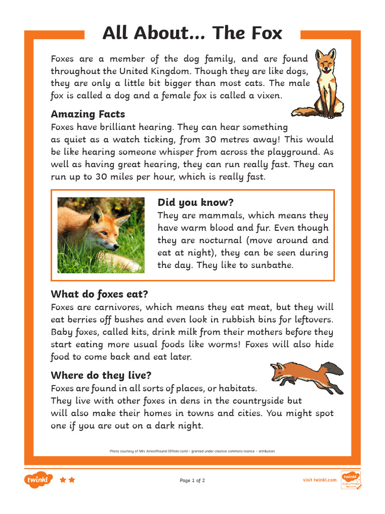 Facts About Foxes for Kids | PDF | Fox | Mammals